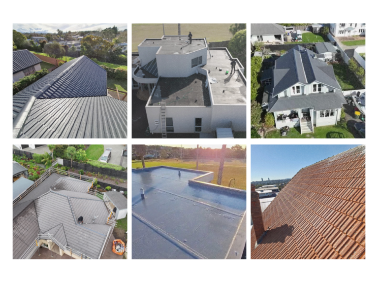 Trusted Roofer in Auckland: Expert Roof Coatings & Repairs